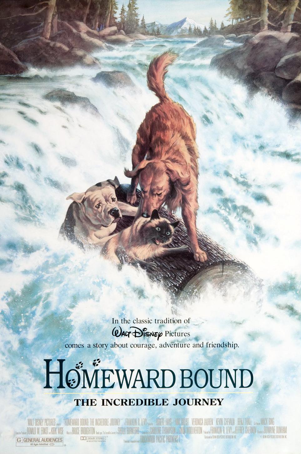 Homeward Bound: The Incredible Journey [Arabic] - Moviebox Official