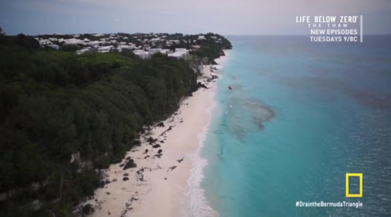 Drain the Bermuda Triangle- Moviebox