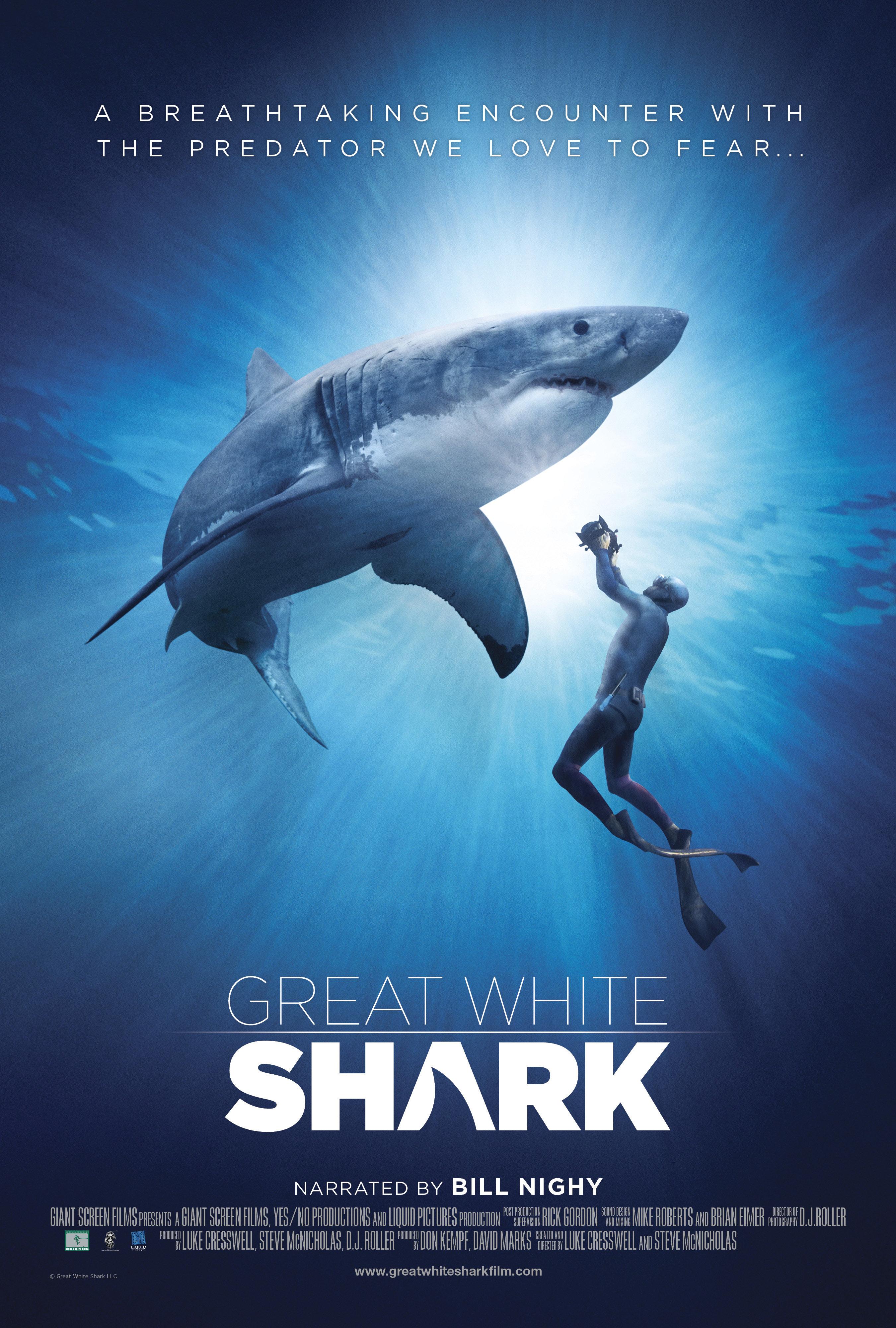 Great White Shark [Arabic]- Moviebox